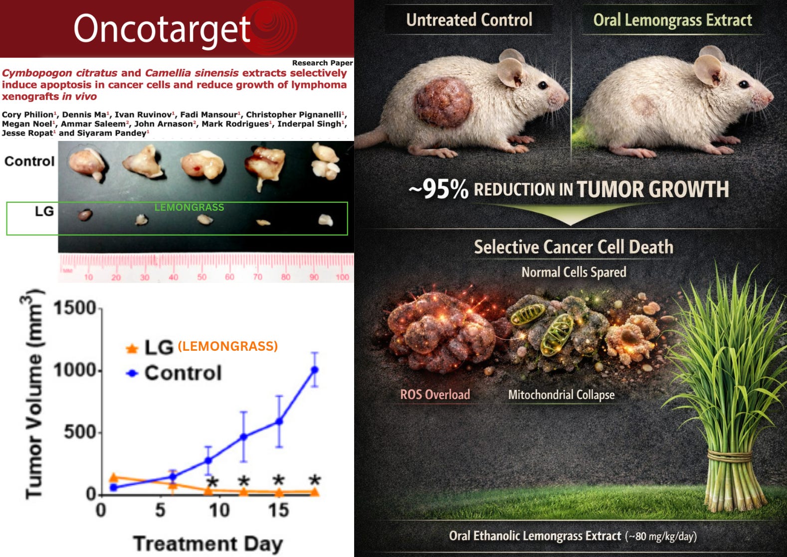 Lemongrass Extract Cuts Human Lymphoma Tumor Growth in Mice by ~95% Without Toxicity ...