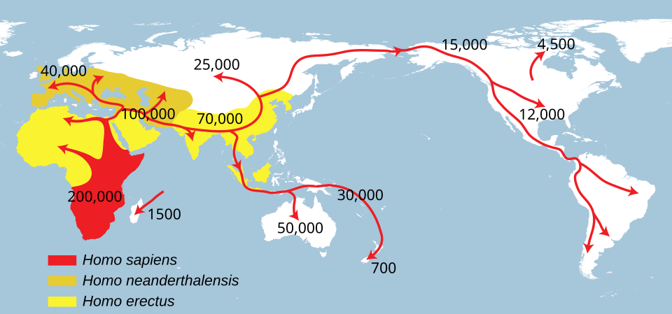 How many humans have ever walked the Earth?