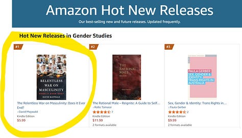 What is The Relentless War on Masculinity?