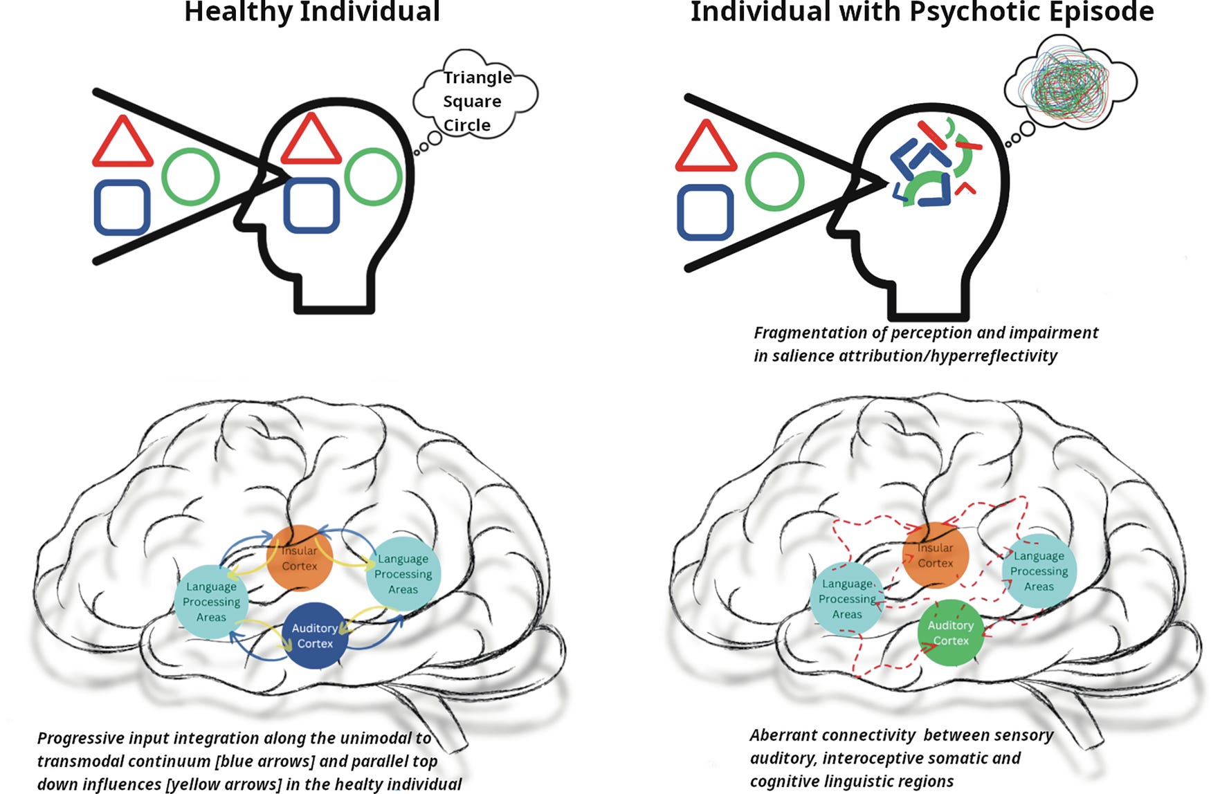 Demystifying Hearing Voices Inside Your Head: The Science of How One's ...