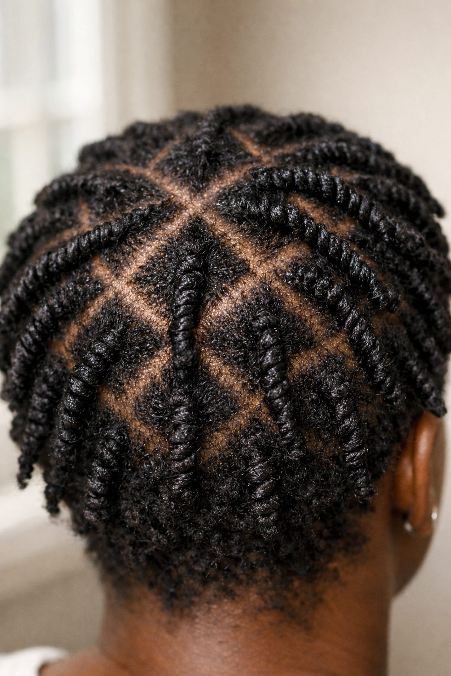 The Loc Blueprint: Starter Locs, Retwists, and Maintenance Tips for ...