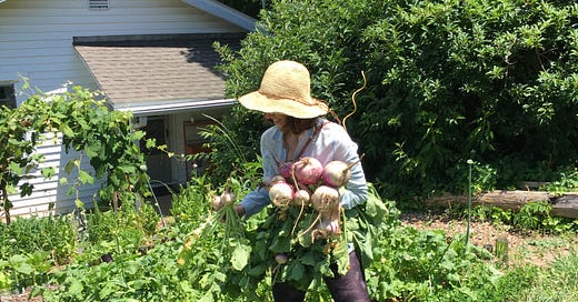 EcoCult | Alden Wicker | Substack