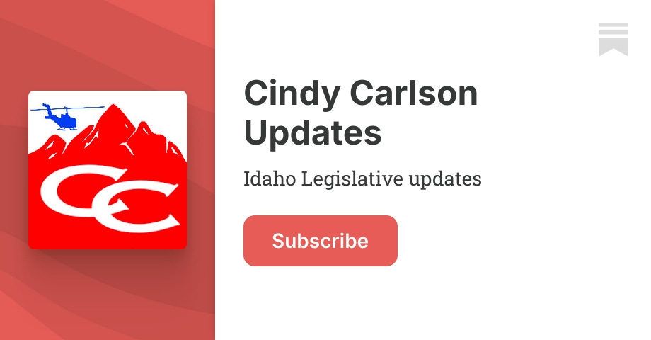 Cindy Carlson Updates | Substack