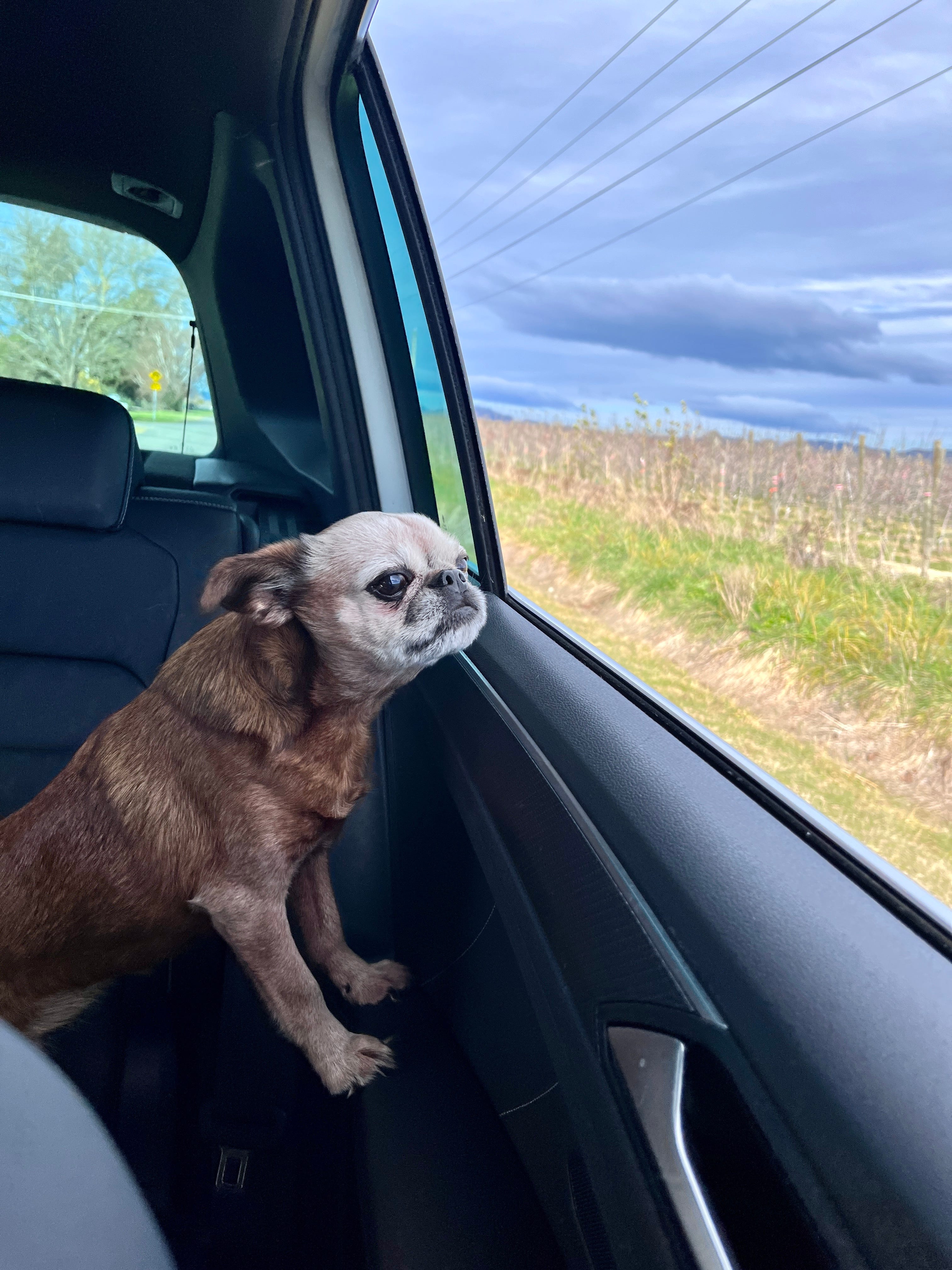 New book out now! - Fiona Ferris Books