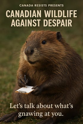 Canada Resists | Substack