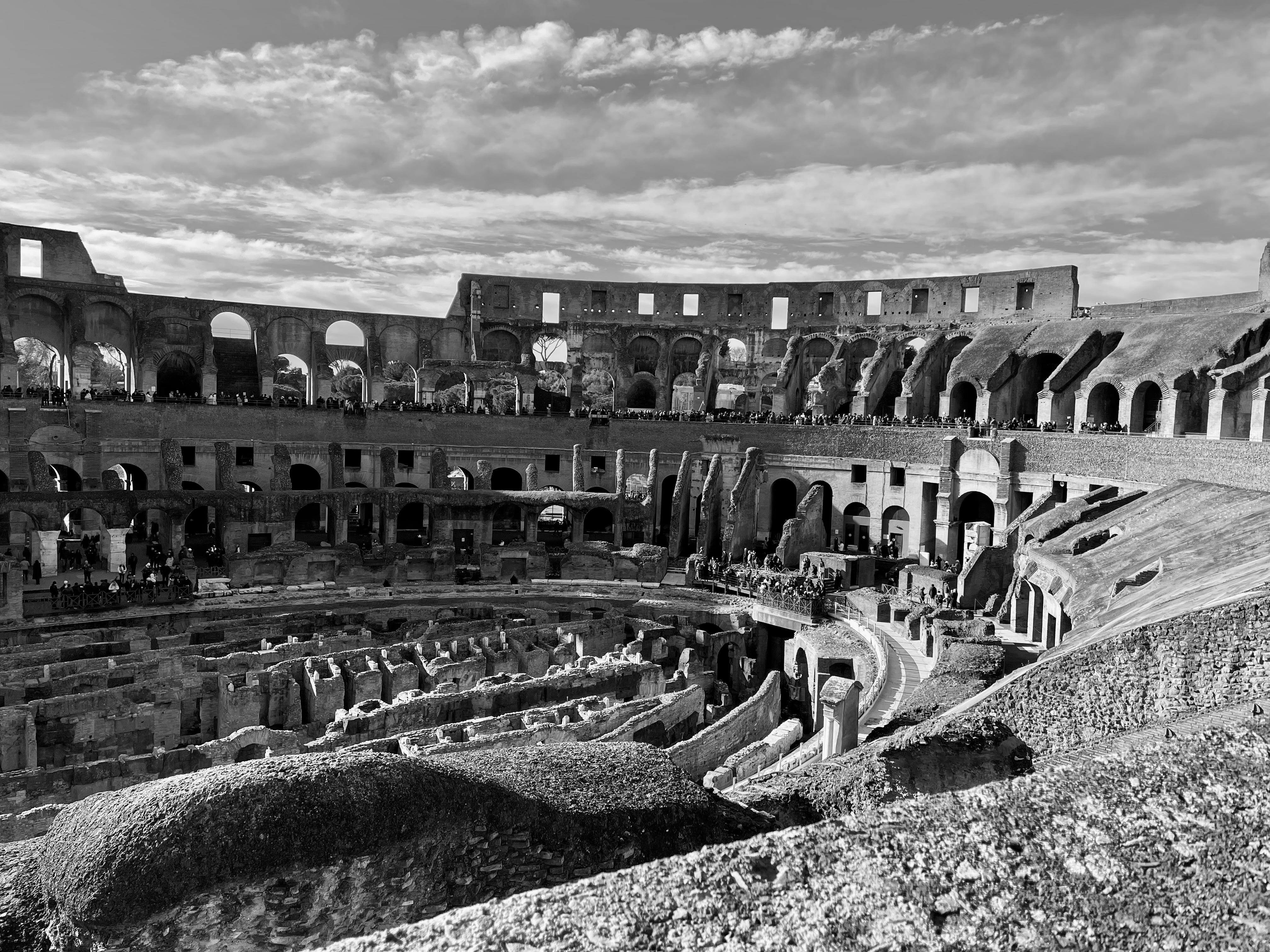 in the arena - by Shelby Elsbree - avec du beurre