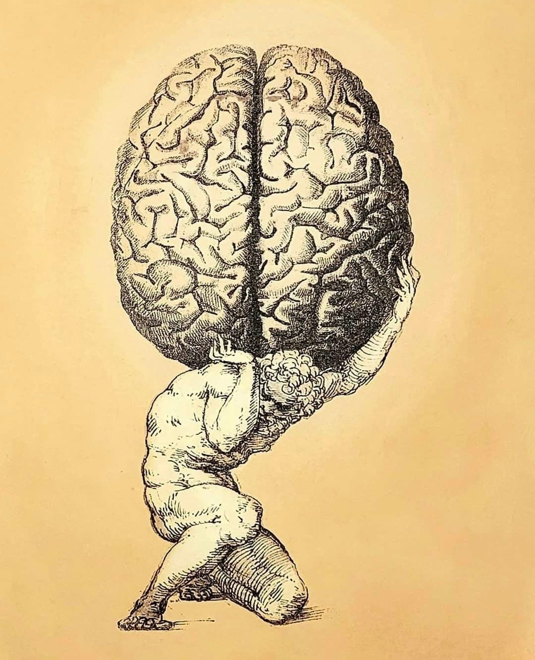 the psychology of buying: humans don’t choose. they respond to triggers.
