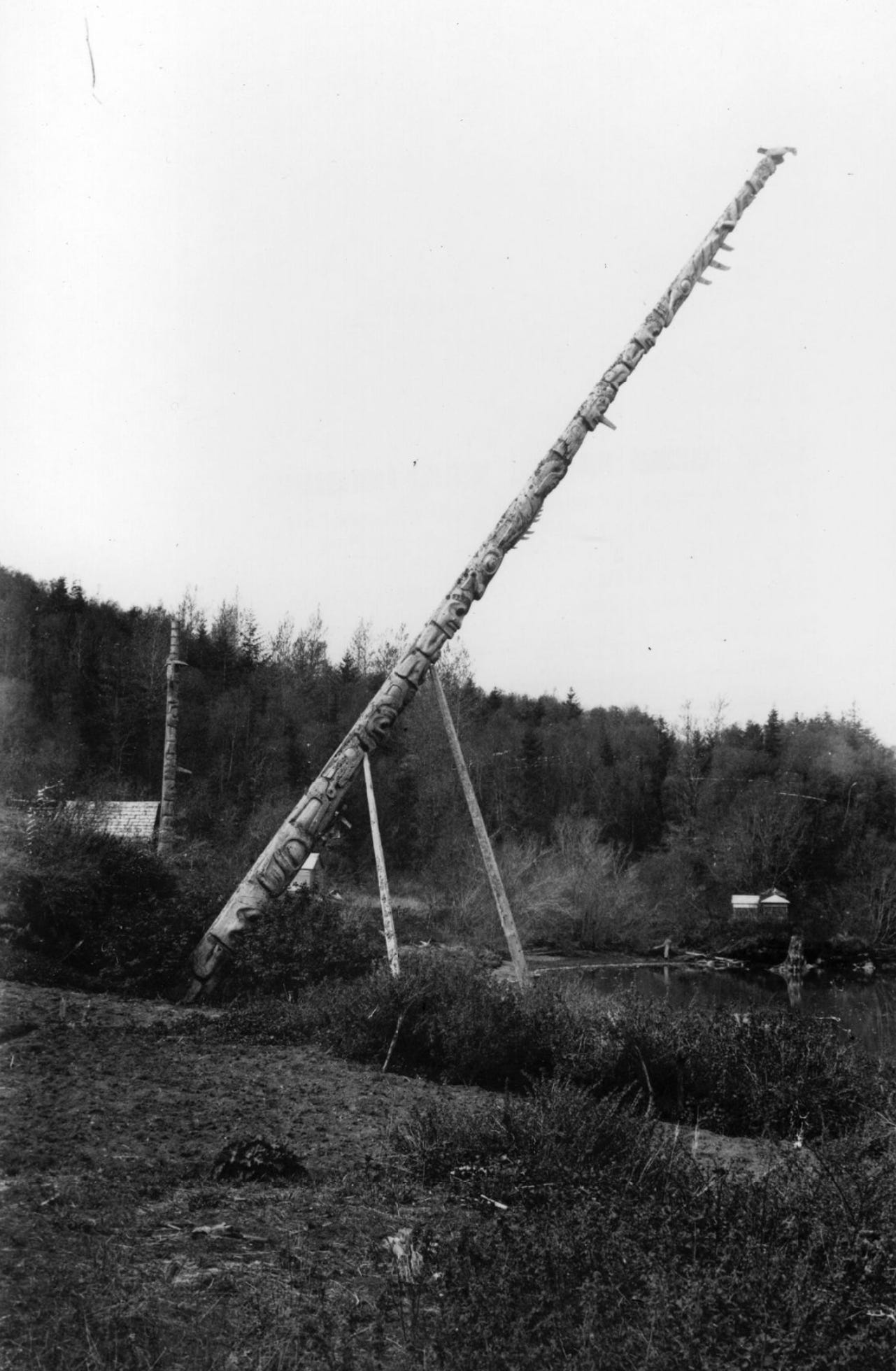 Totem poles and god poles and the shared grief between us
