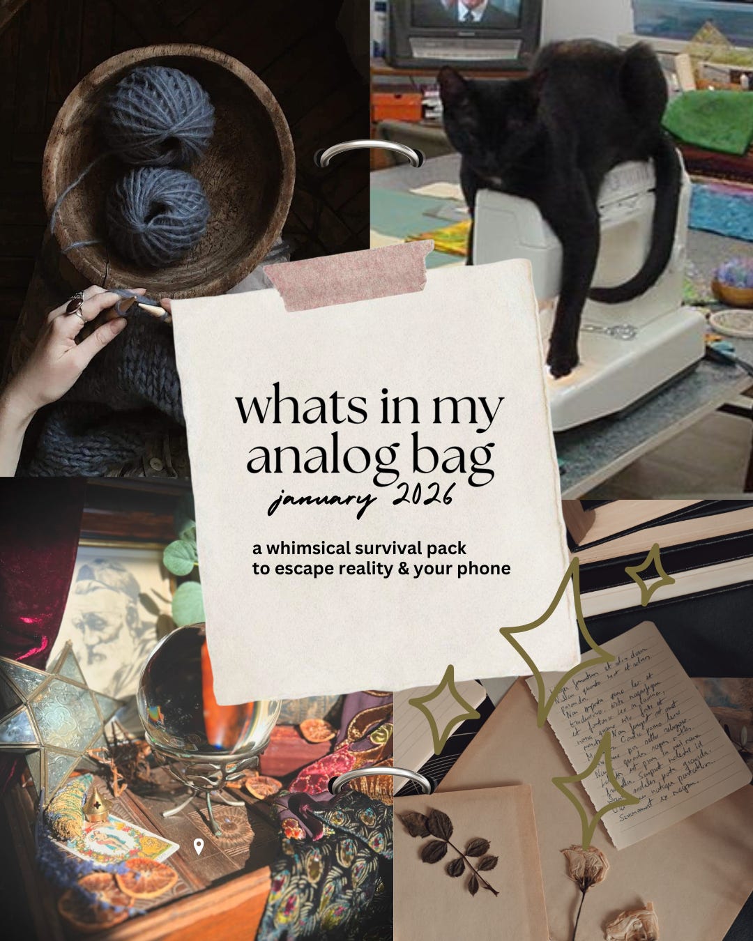 What’s in My Analog Bag This Month - by Marissa Zingg
