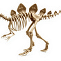Darwin's Spectre | Michael R Rose | Substack