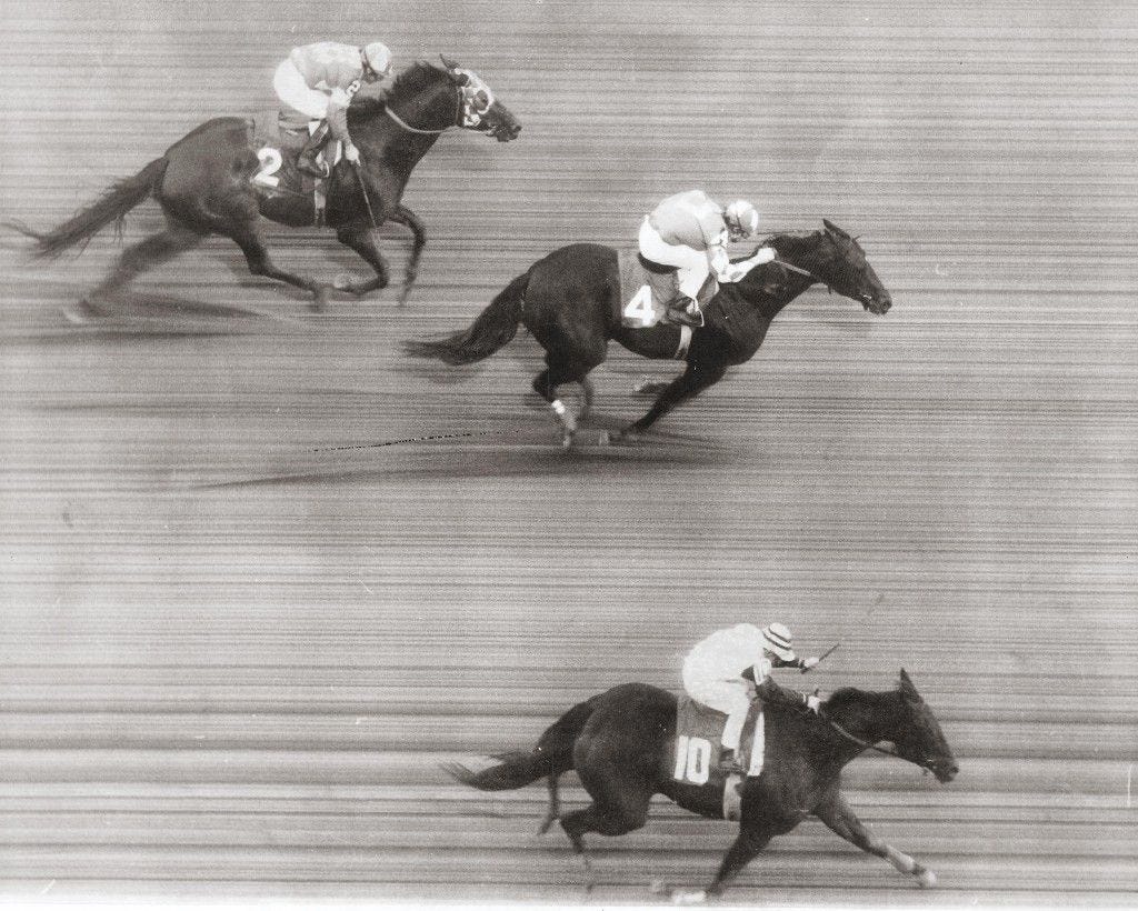 Investing Explained Like a Horse Race
