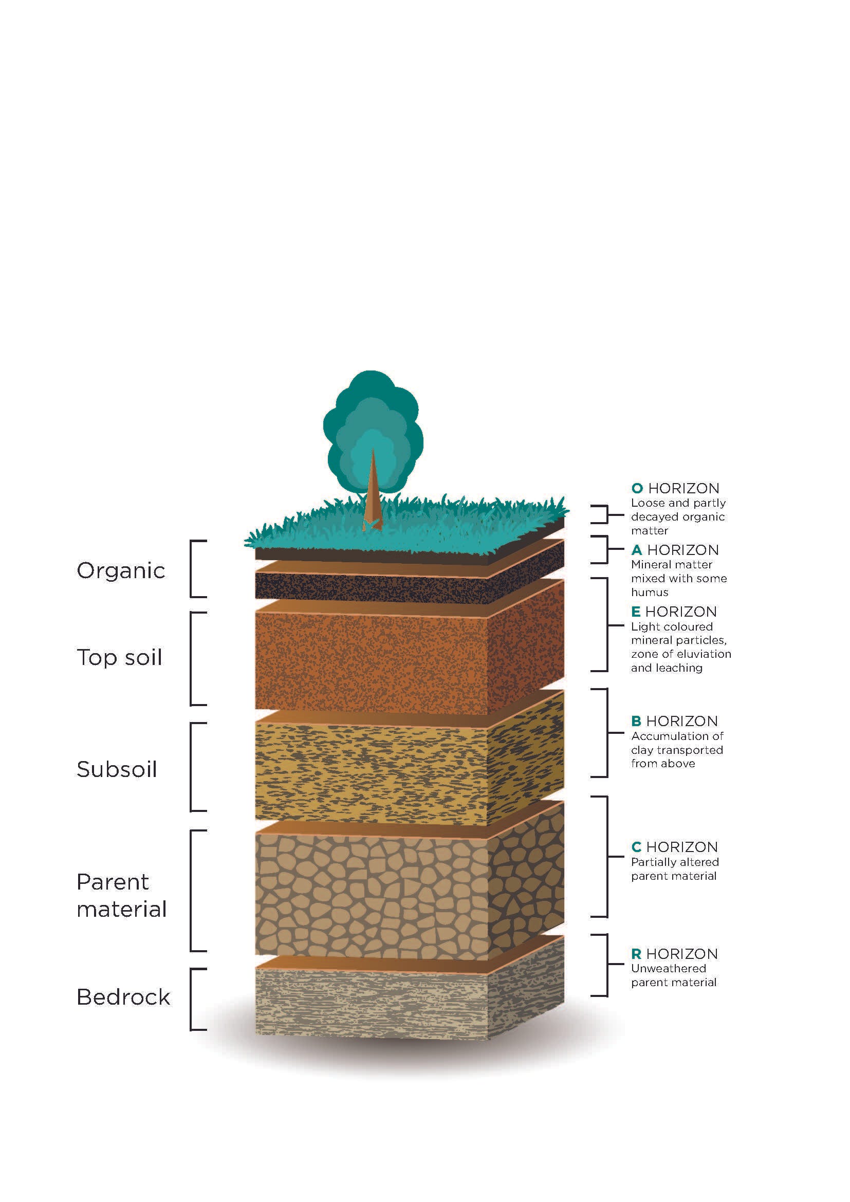 How to Complete a Site Analysis for your Garden (Part One)