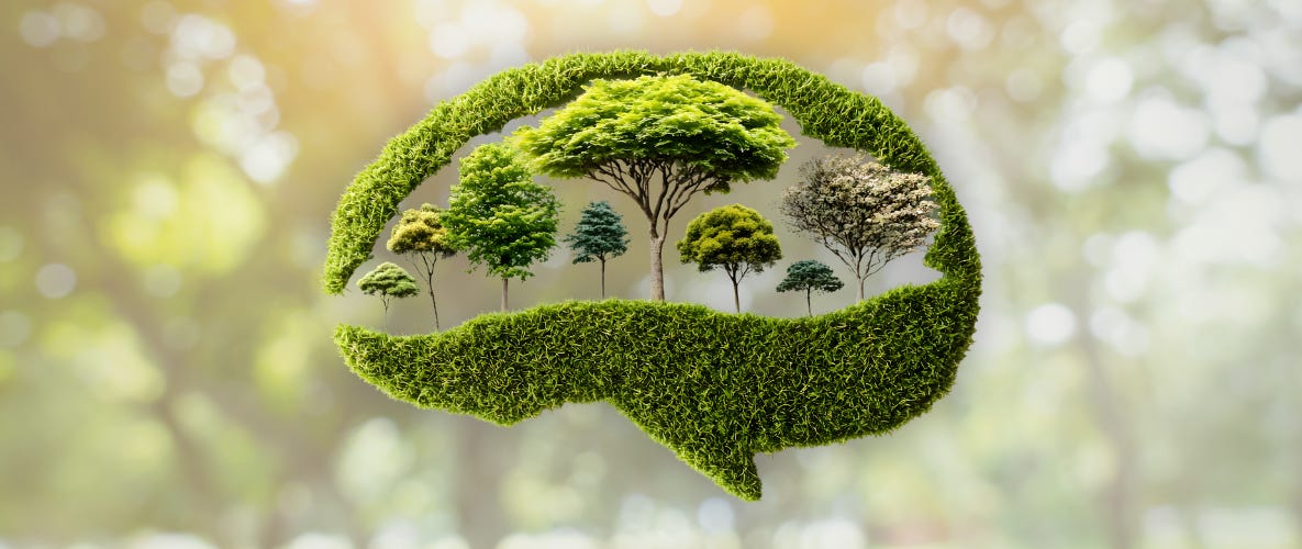 Brain & Nature: How the Outdoors Affects Mental Health