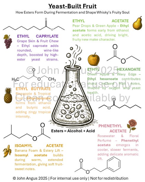 Jamaican Rum: Engineered for Esters - by John Angus