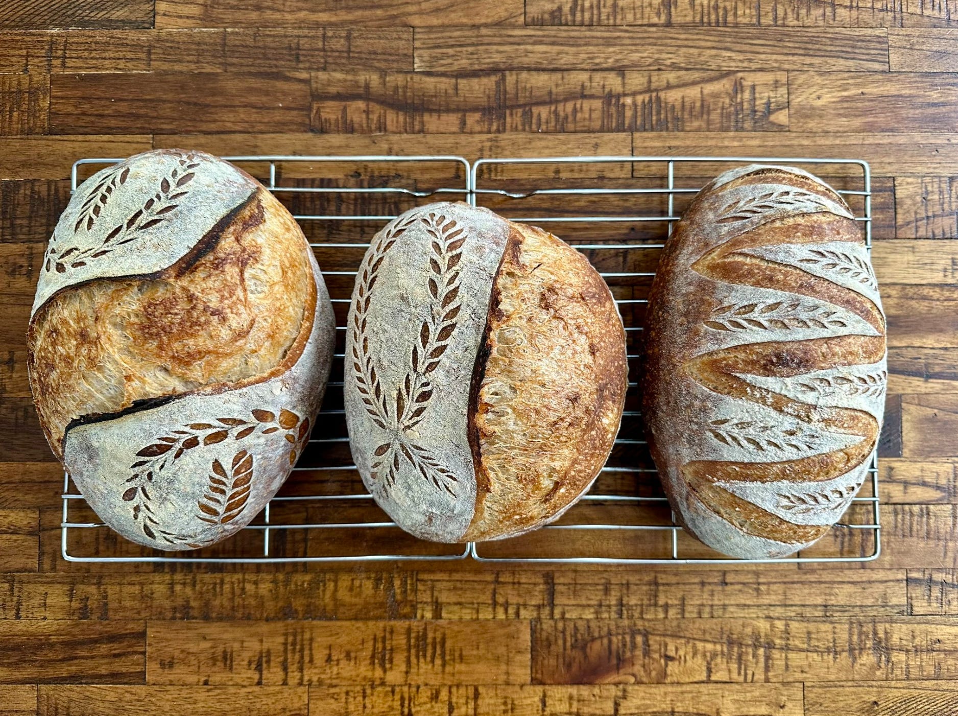 THE FRIDAY FEATURE: James Zimmermann - by Kay Clarity