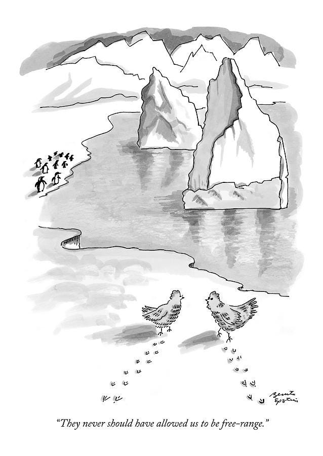 Our Fear of Being Free - by Chris Cowan and Yoad Rowner