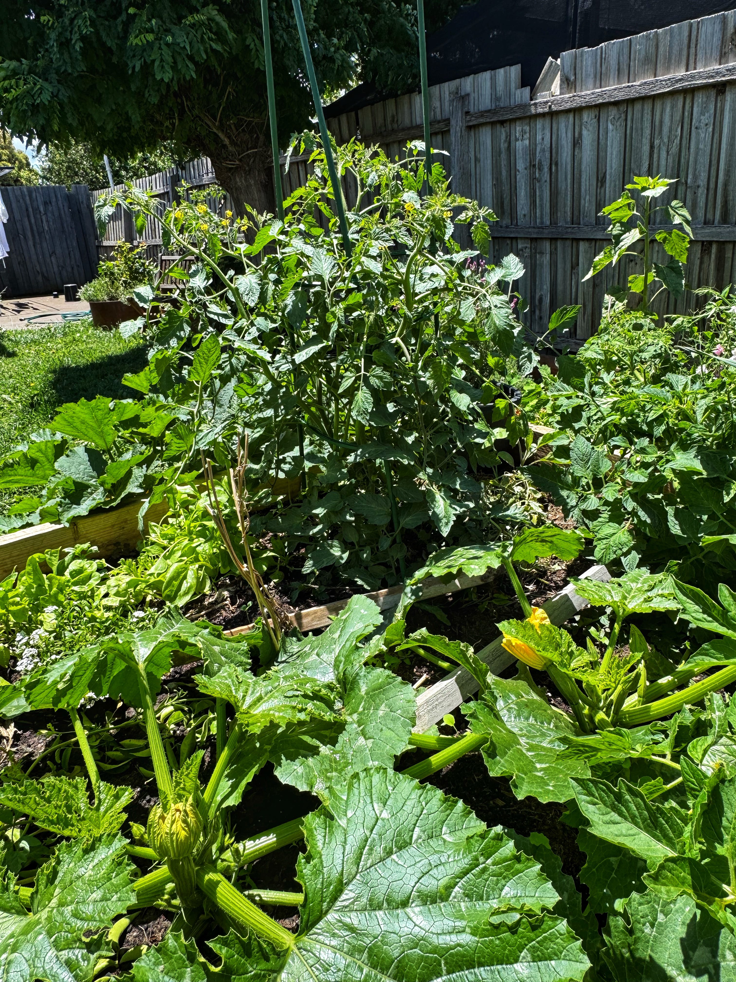 Shattered glass like diamonds . So I recorded it.