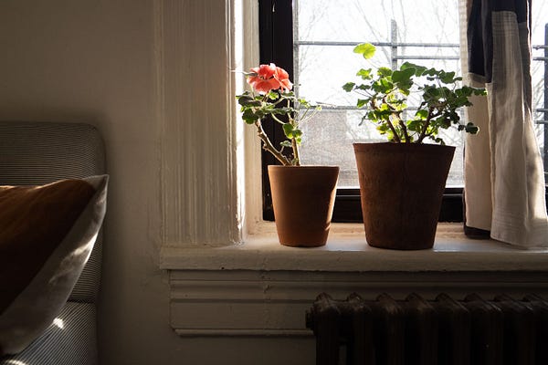 Tea Notes | Erin Boyle | Substack