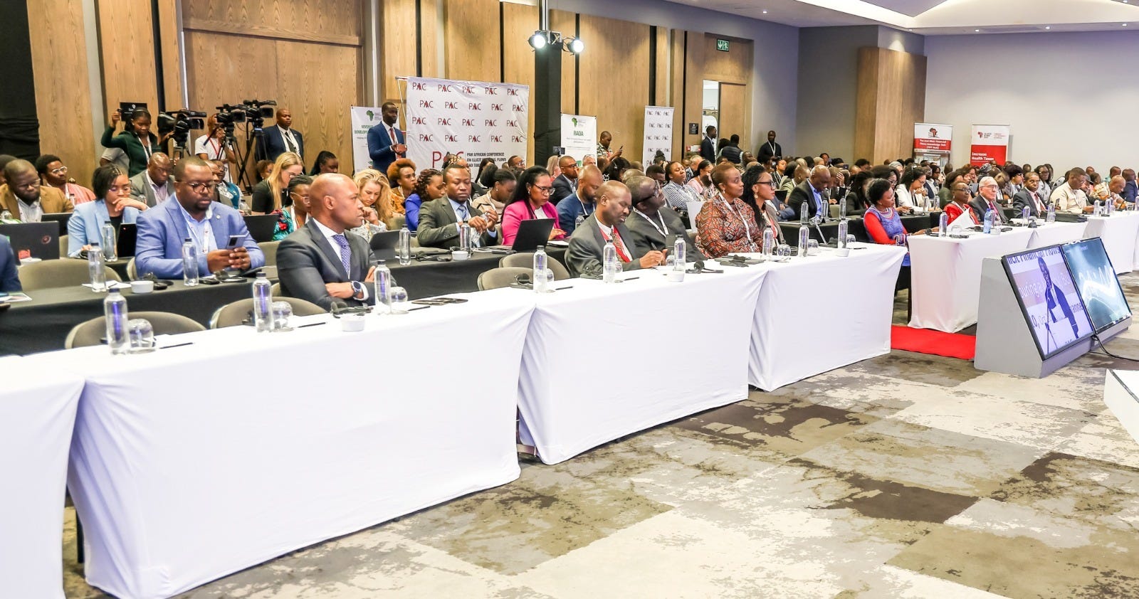 Africa Must Unite to Stop Resource Drain, Policy Analyst