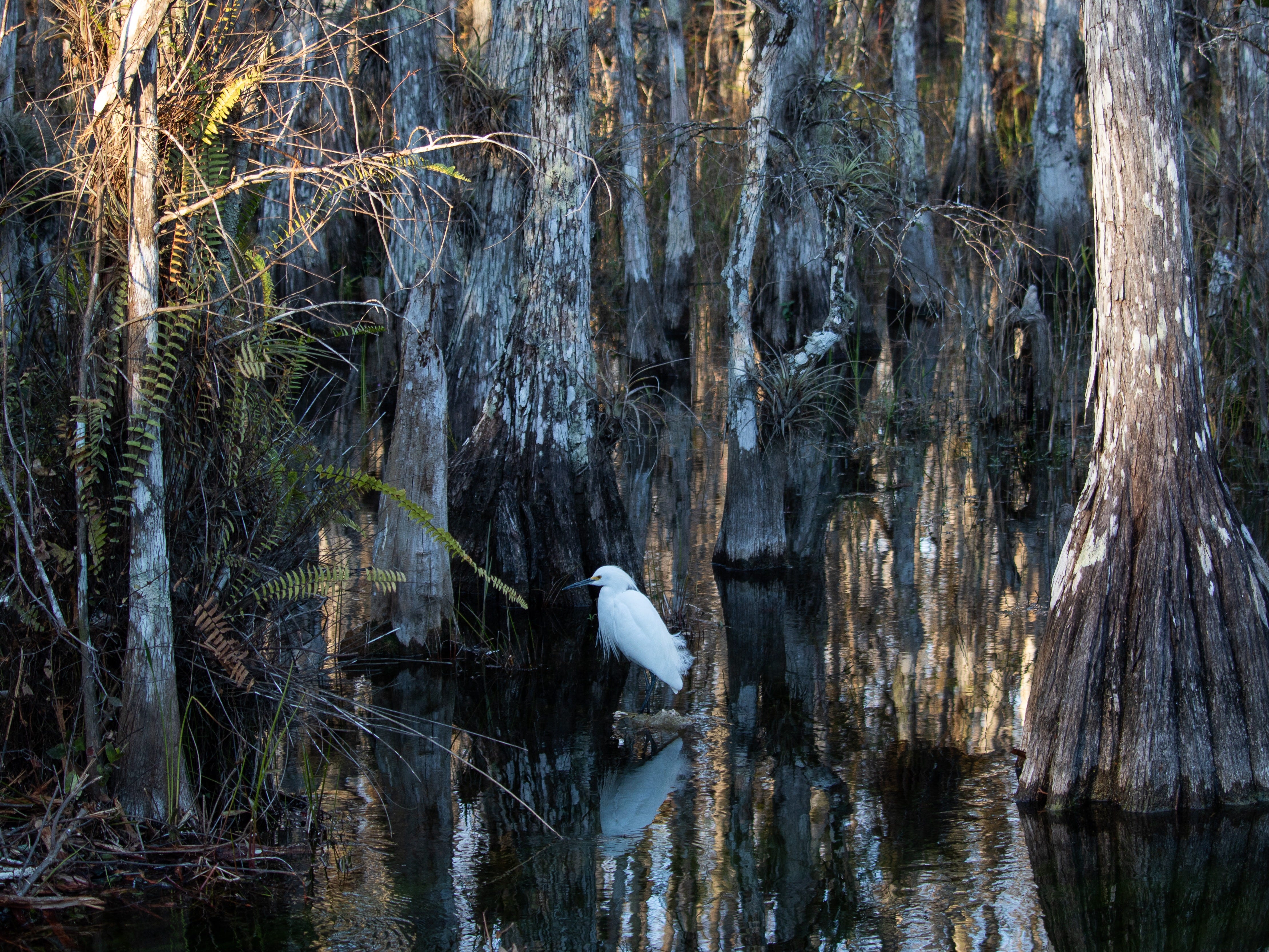 World Wetlands Day and the Gutting of the Clean Water Act