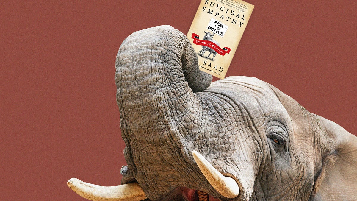 Comments - The Smugness of Anti-Empathy Politics