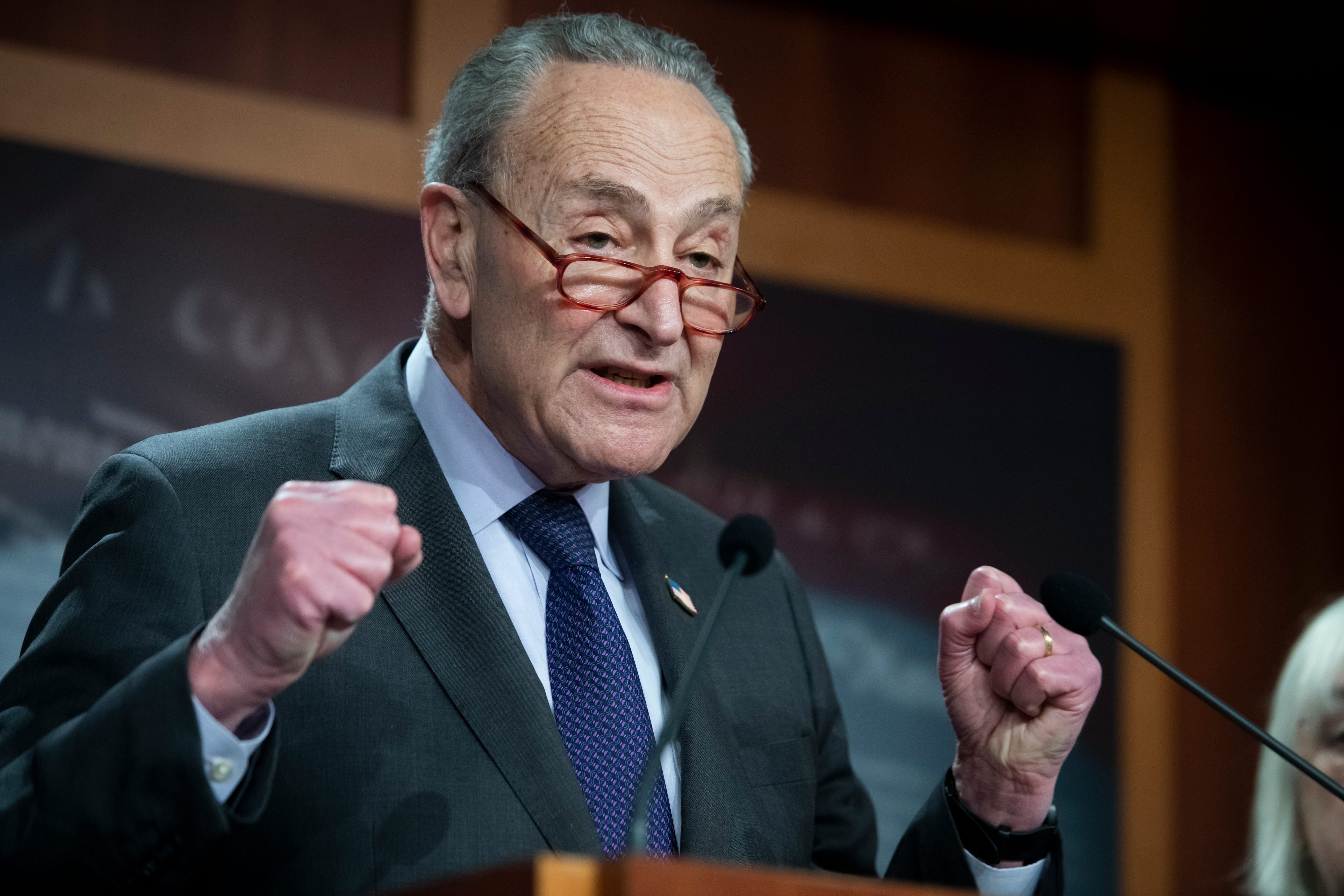 Chuck Schumer Doesn’t Know What Time It Is - by Mike Brock