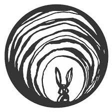 Beware the Rabbit Hole - David Vance Substack