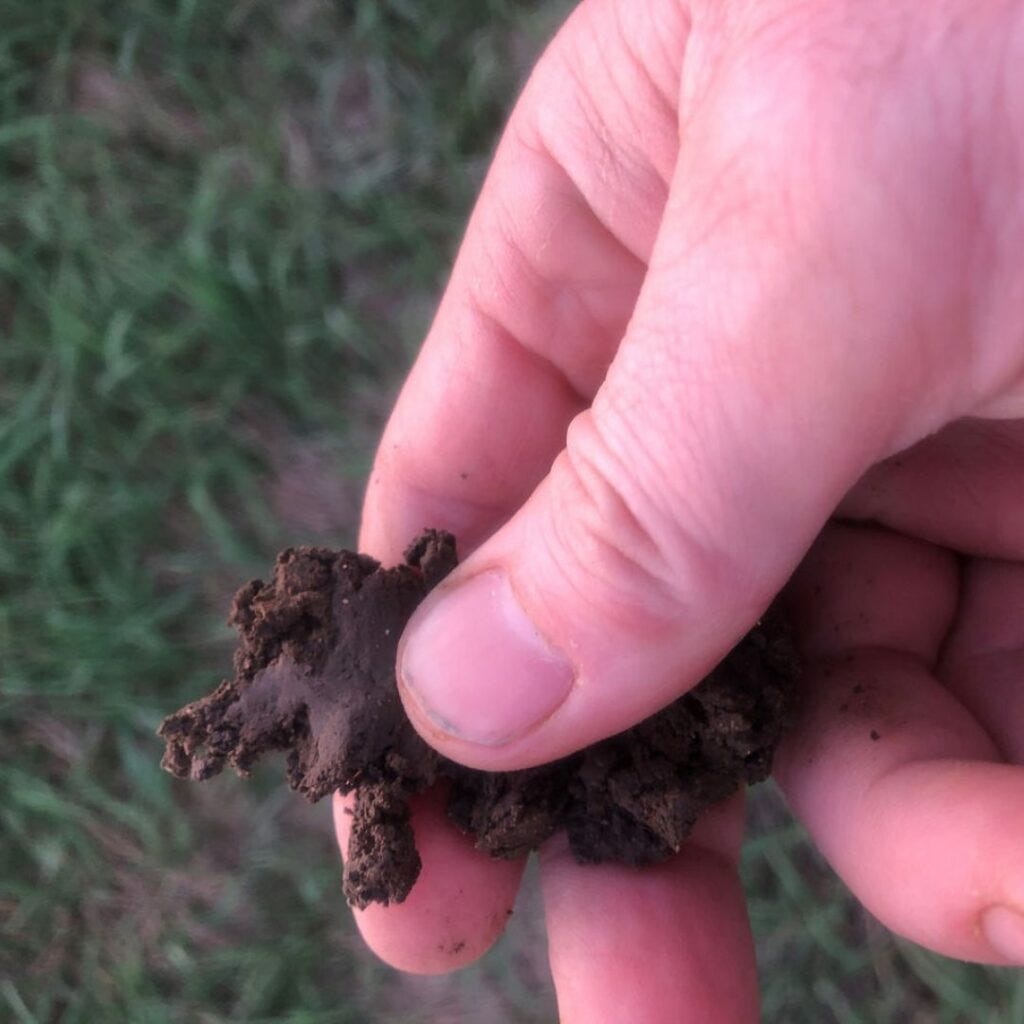Soil Science 101: What Makes Soil Healthy and How to Improve Yours