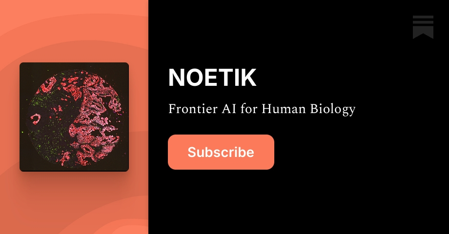About - NOETIK