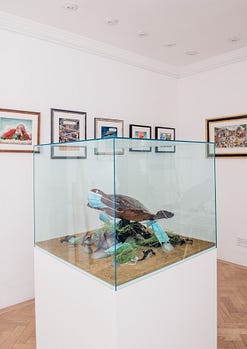 Tania Edwards | Substack