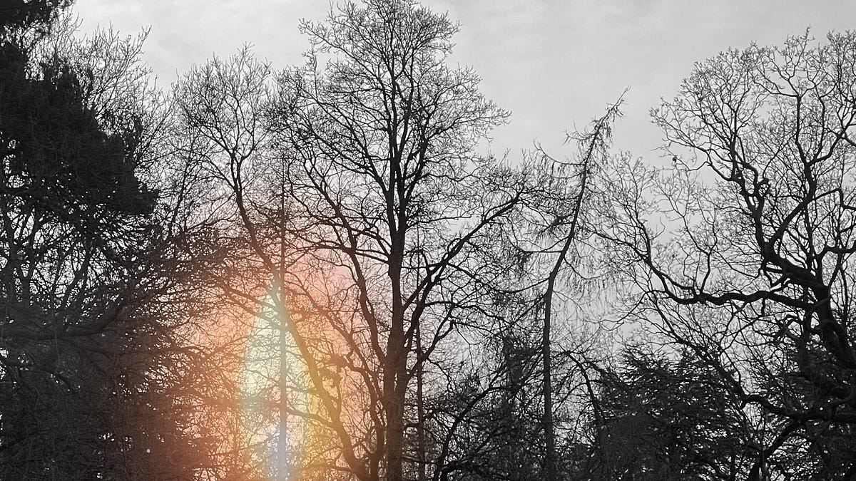 The Winter That Sent Me Home - Cameron Nuttall