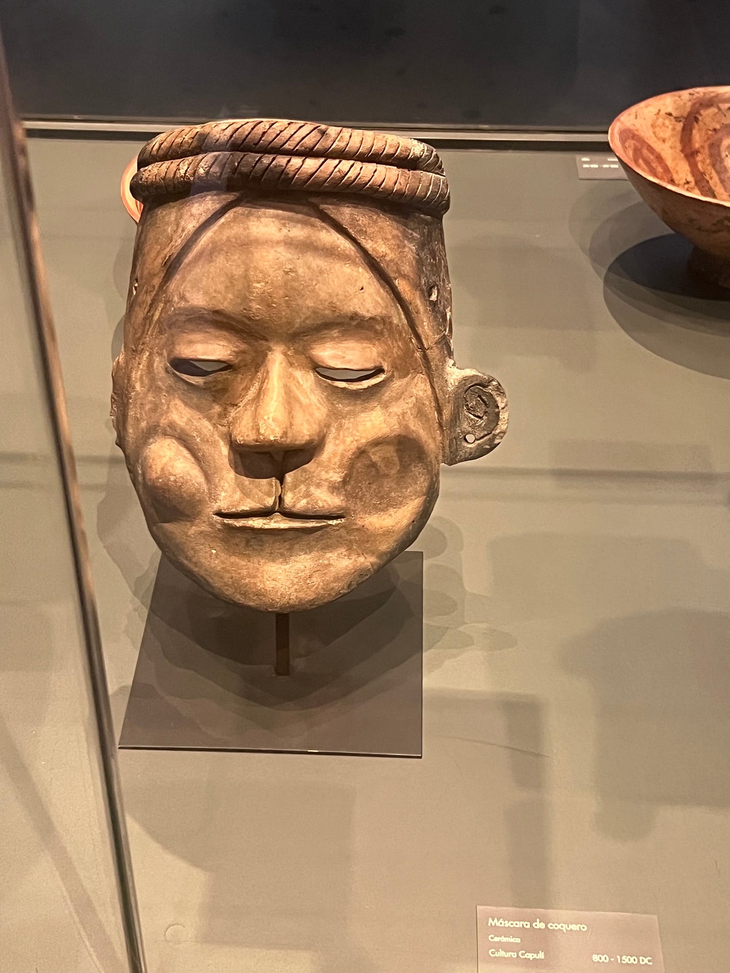 Crossing Timelines: The Machi Shaman - by Meleny Carr