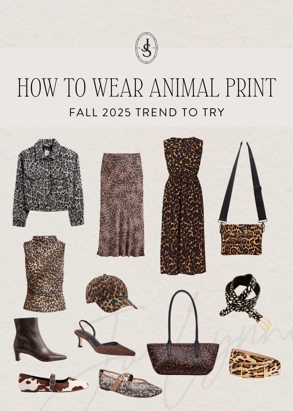 Leopard, Zebra & More: How to Wear Animal Print Now