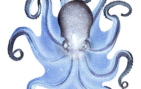 DEEP WRITING | Noam Leon Kaestner | Substack