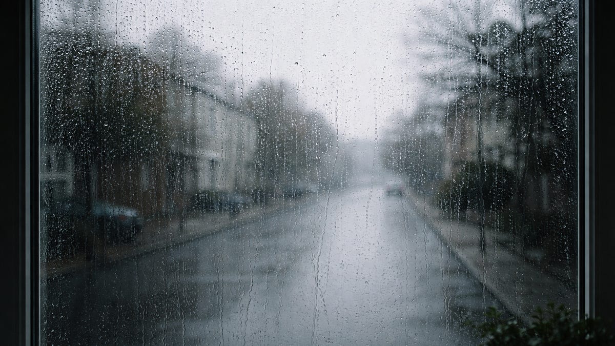 How to deal with big feelings and bullshit