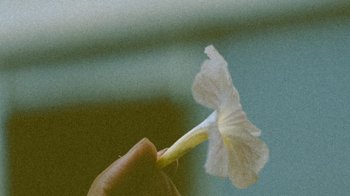 Comments - Sobre querer muito uma pessoa - by limão com mel