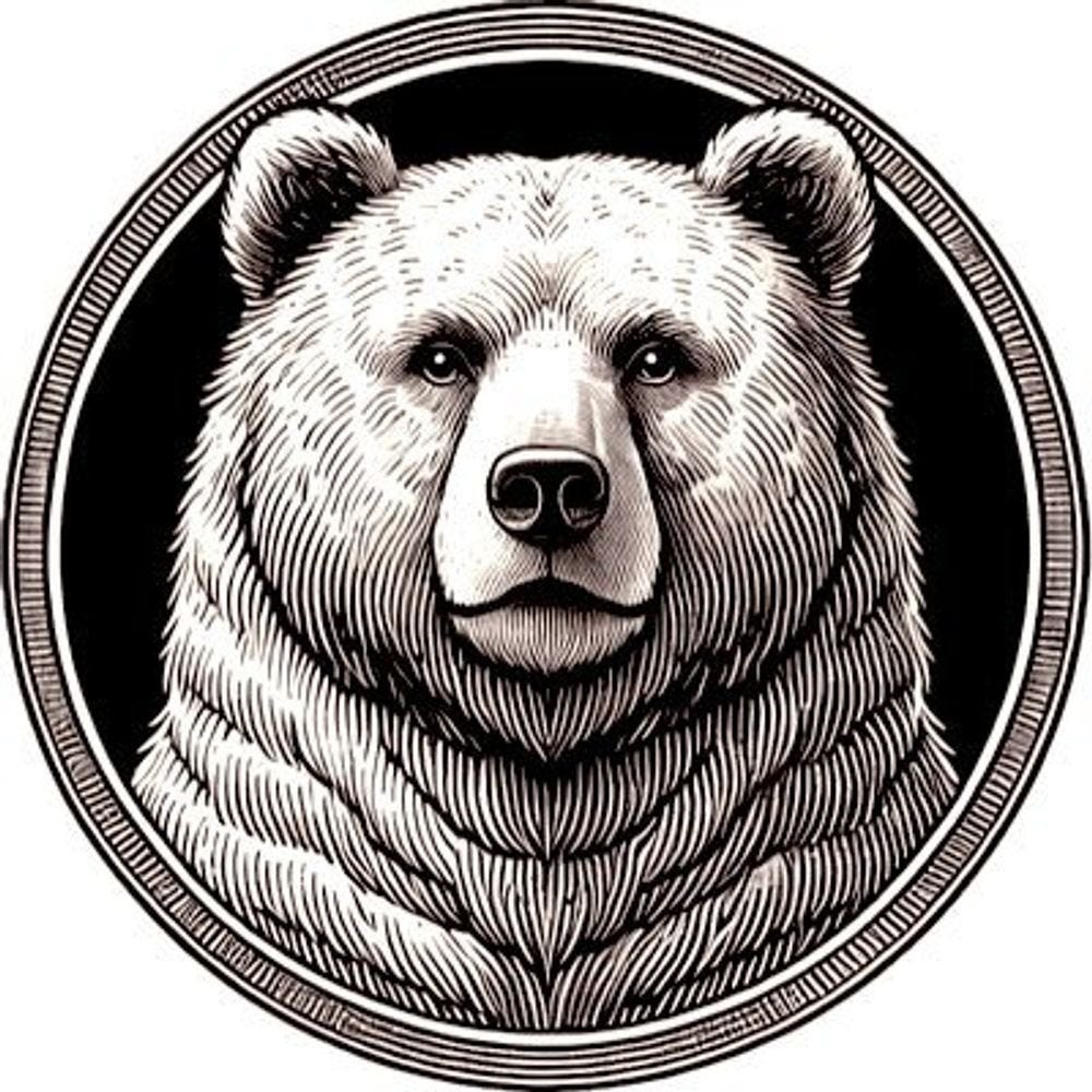 The Bear | Substack