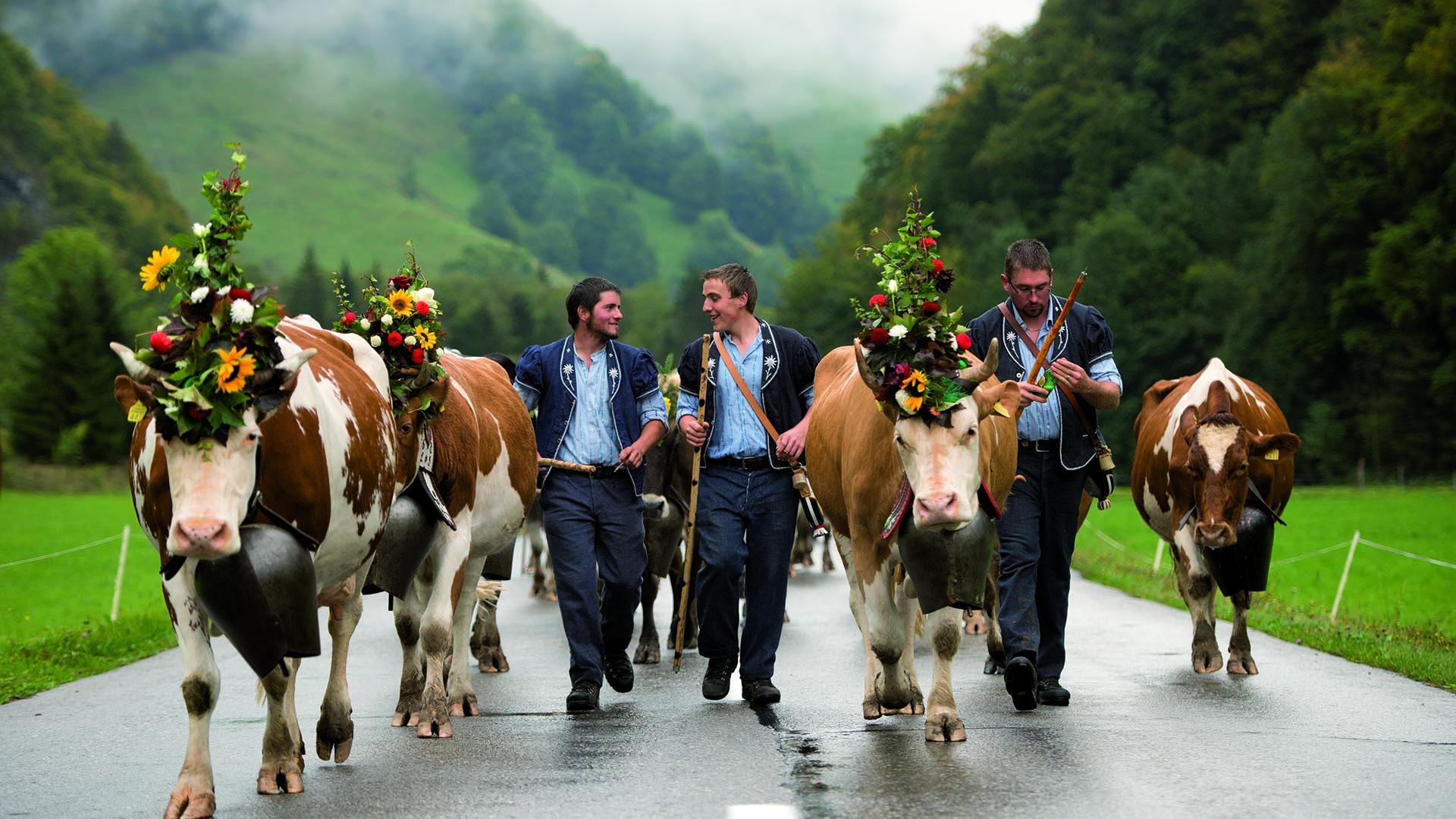 How we conquered Switzerland - by Christine Ouendag