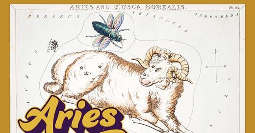 The Midst | Substack