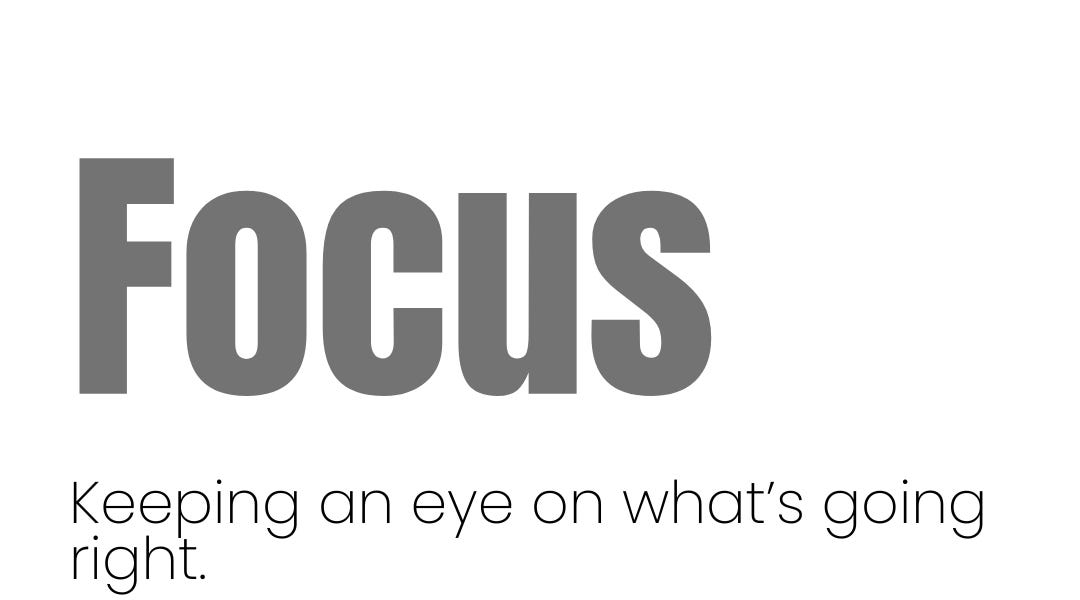 Focus - by Sandra Ann Miller - The Happyist