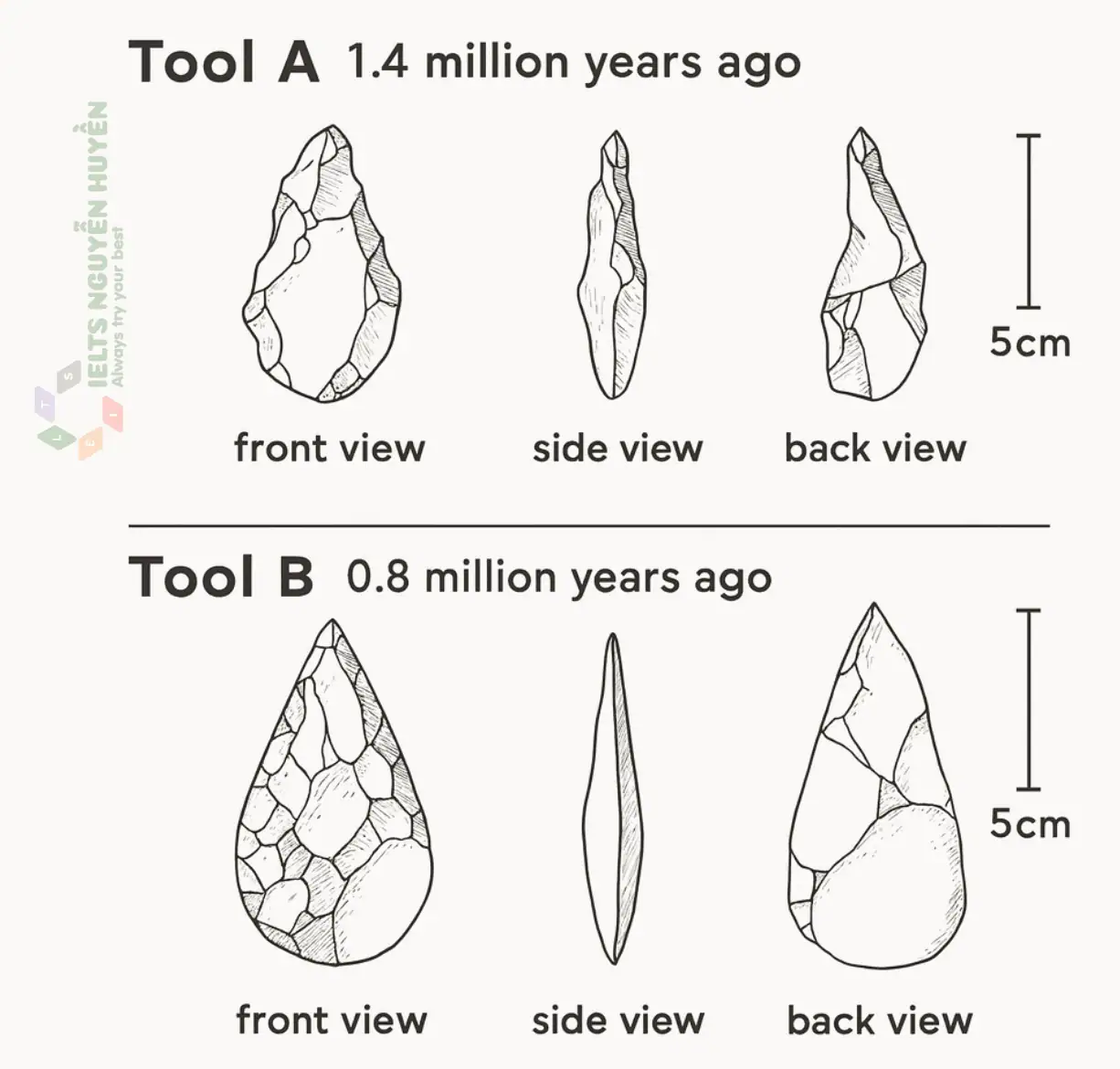 IELTS Writing Task 1: Stone Age Cutting tools