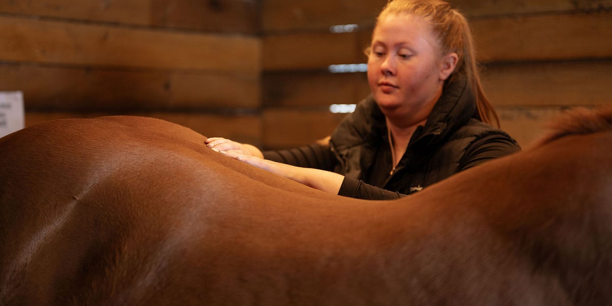 Rib Mobilization in Horses: Unlocking the Ribcage for Better Movement ...