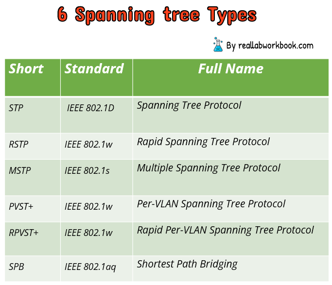 6 Spanning Tree Types You Need To Know - by Rose White