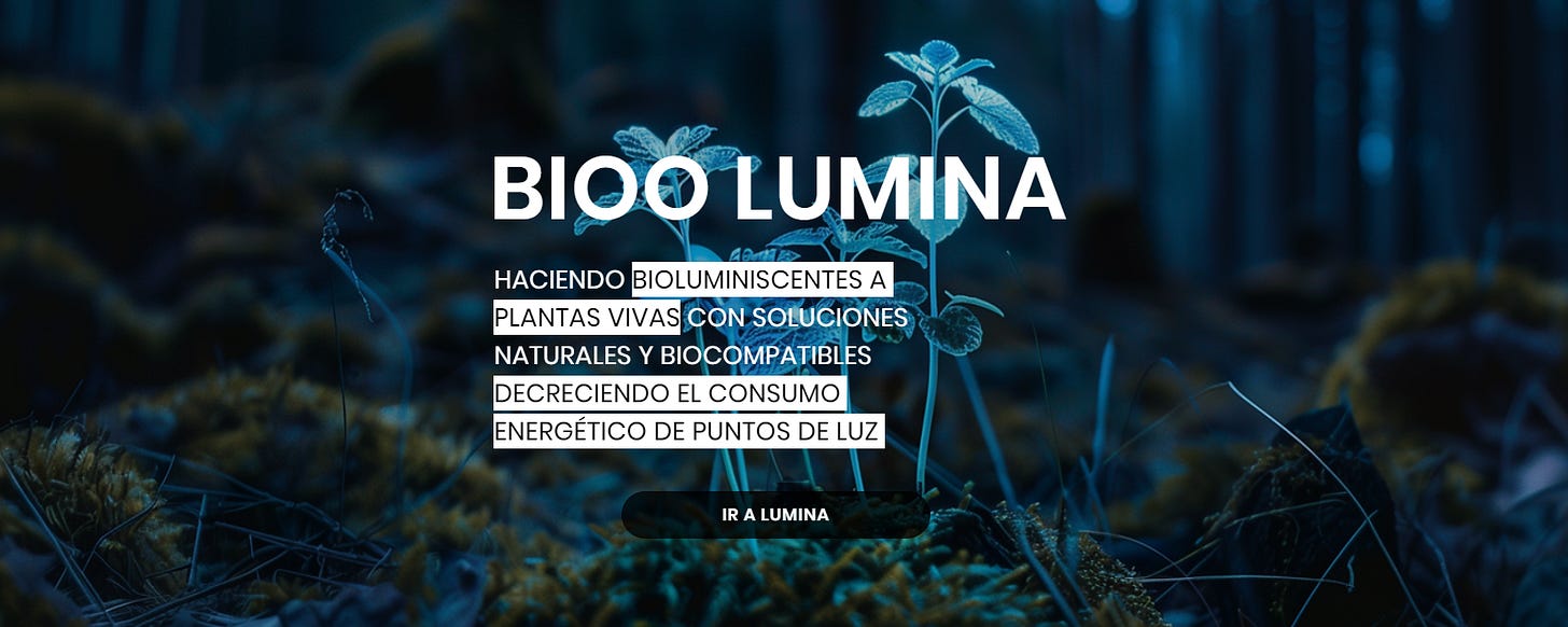 Bioo - Revolutionizing energy with nature: light-emitting plants ...