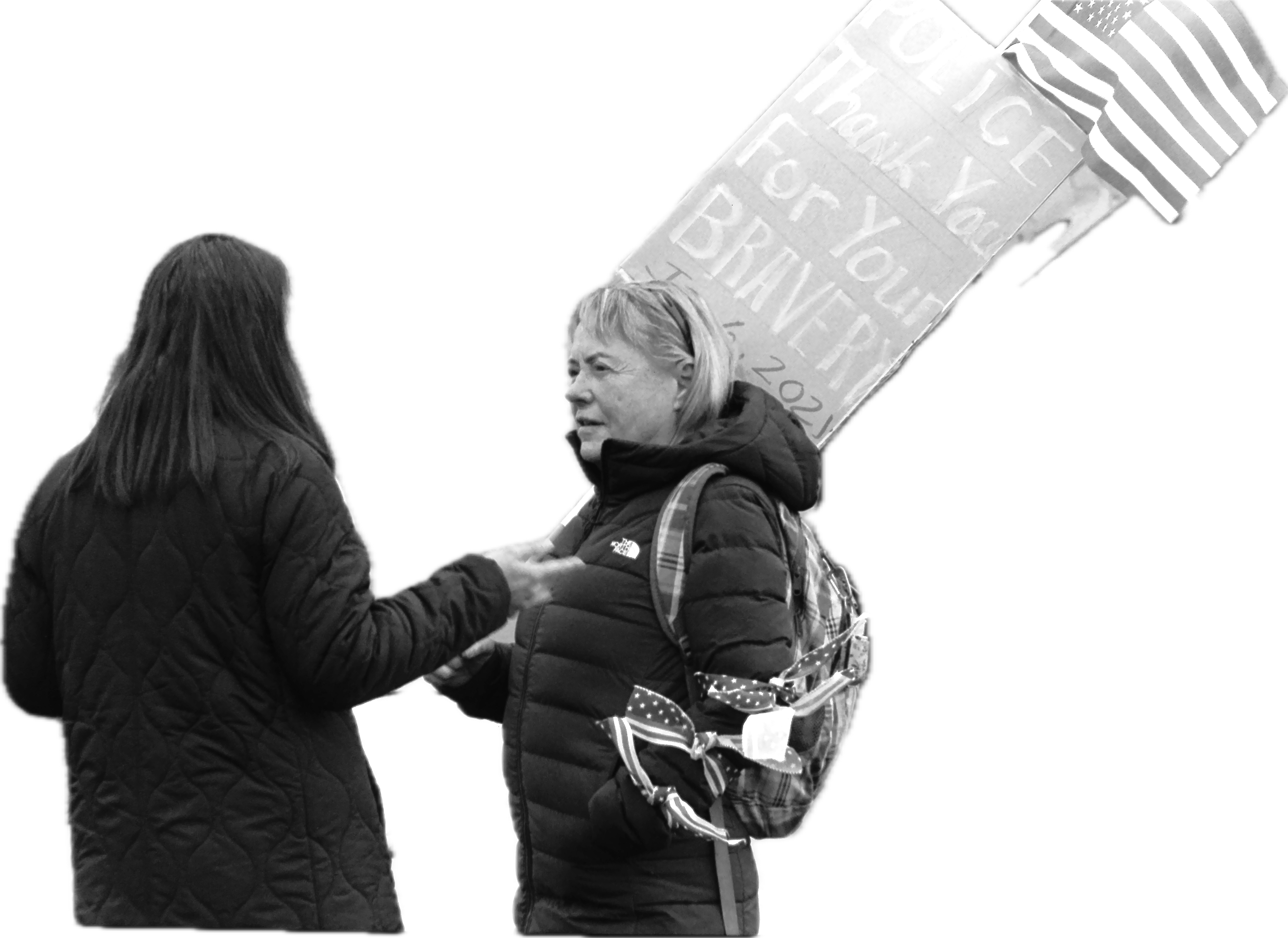 Defund Trump. - by Robert B. Hubbell