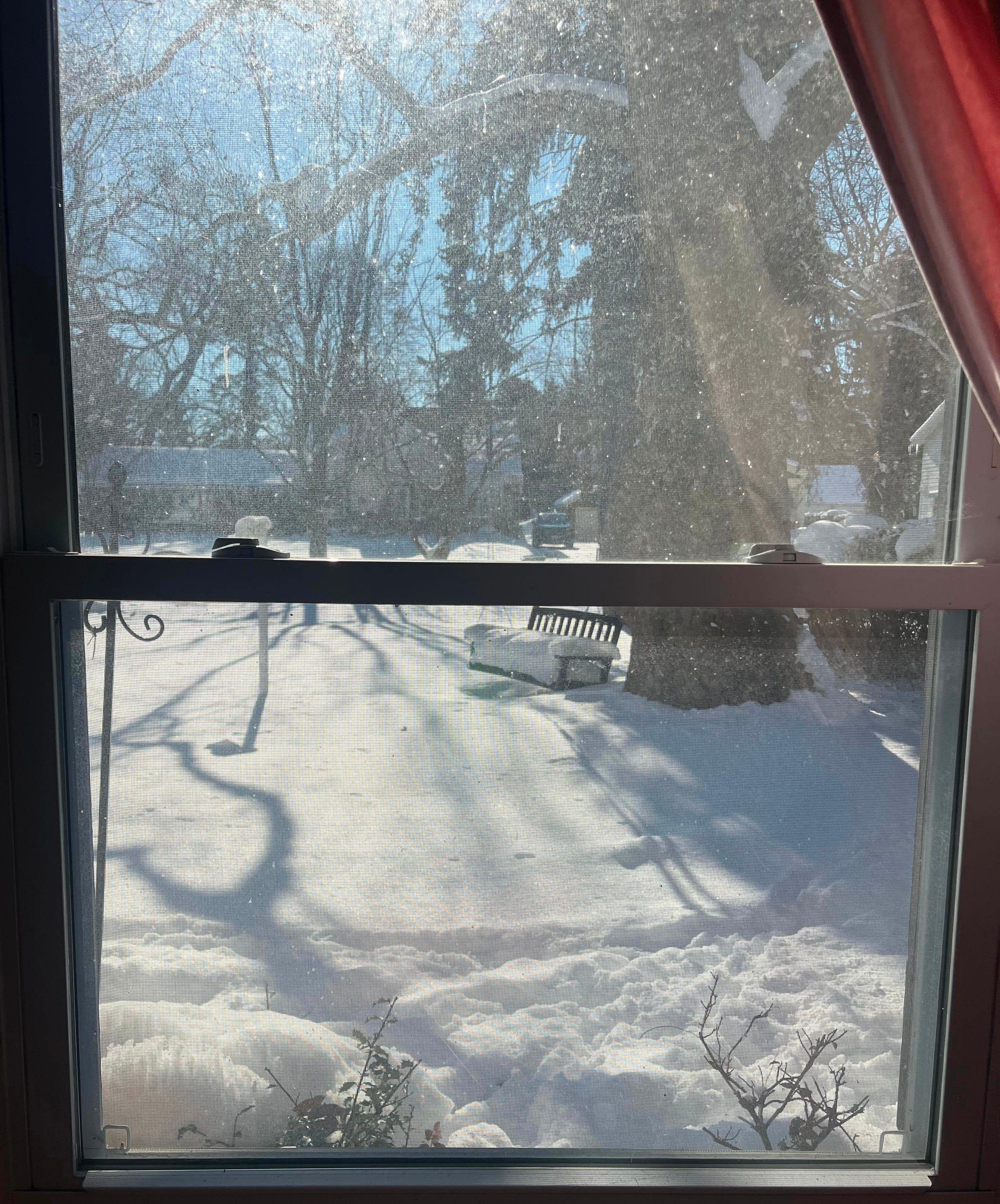 The Art of Window Washing - by Marjana Ababovic