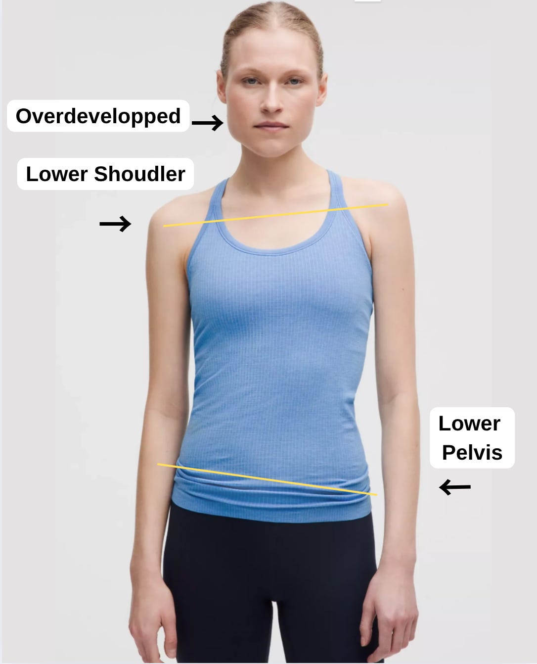When the Jaw Shifts, the Whole Body Shifts - Posturepro