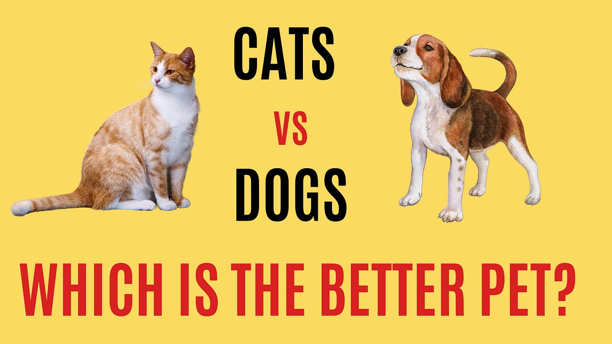 Cats vs. Dogs: which is the better pet? - by Justin Gregg