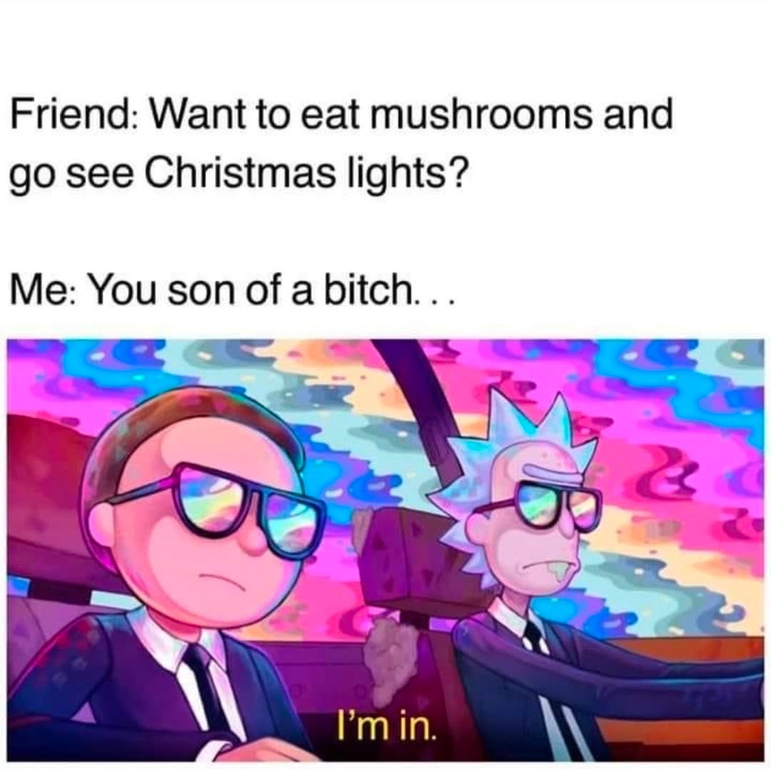 New Moon in Sagittarius 2025: The Lost Art of Enjoyment