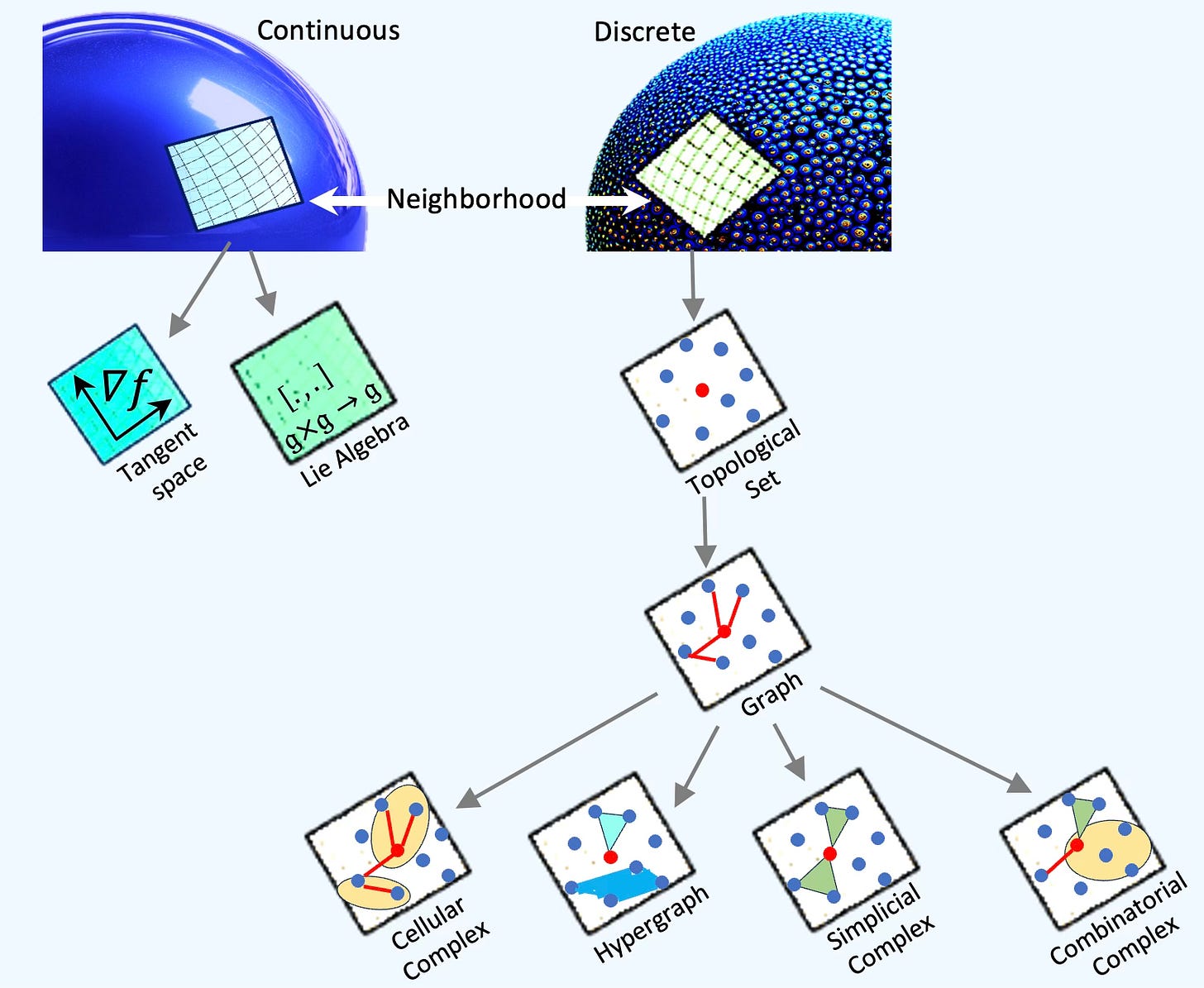 From Nodes to Complexes: A Guide to Topological Deep Learning